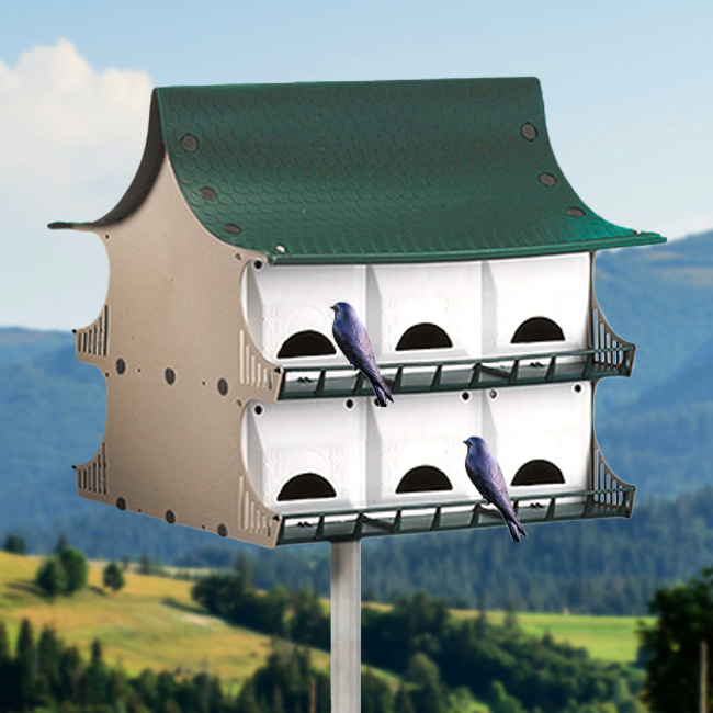 BestNest.com: Bird Feeders, Weather Stations, Pond Pumps, Address ...
