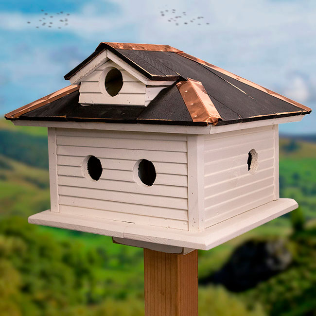 BestNest.com: Bird Feeders, Weather Stations, Pond Pumps, Address ...